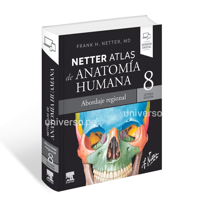 Netter Atlas de Anatomía Humana Abordaje Regional - Octava Edición ...