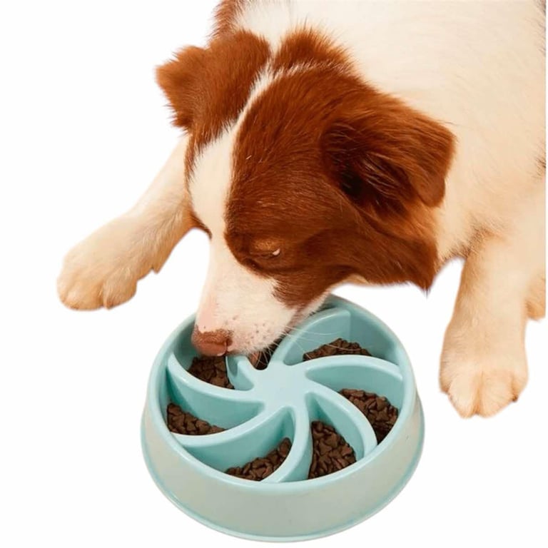 Plato Para Perro Comedero Lento para Mascotas GENERICO | falabella.com