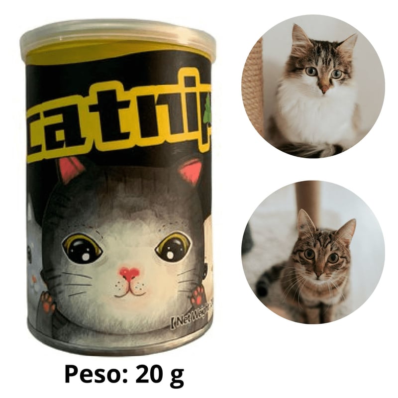 CATNIP PARA GATO EN LATA x 20 g. GENERICO | falabella.com