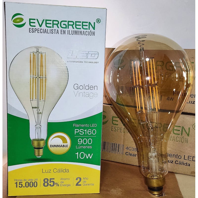 FOCO VINTAGE PS160 10W LED DIMMABLE - EVER GREEN GENERICO | falabella.com