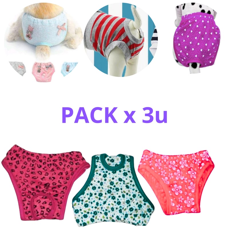 CALZON DE ALGODÓN PARA PERROS Y GATOS - MASCOTA PACKx3 T-1 GENERICO ...