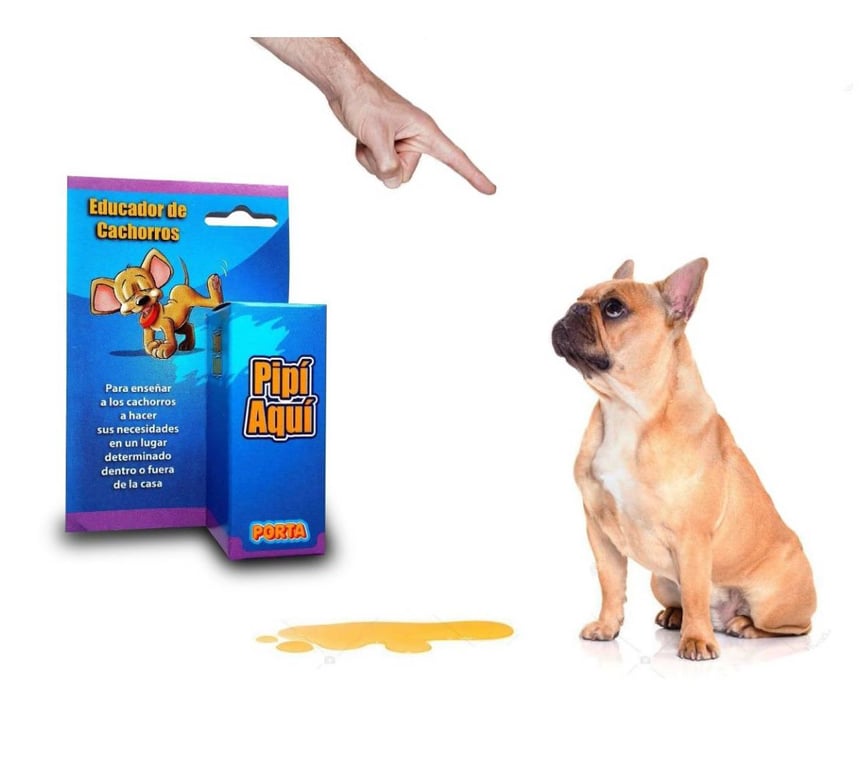 Pipi Aqui Educador Para Perros OEM | falabella.com