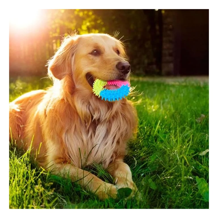 Aro de Jebe para Pet Punteado de Colores de 11 cm GENERICO | falabella.com