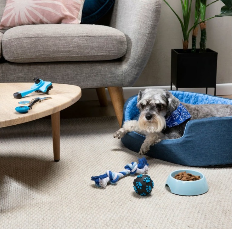 Kulcan Set Completo De Entrenamiento Para Perros GENERICO | falabella.com