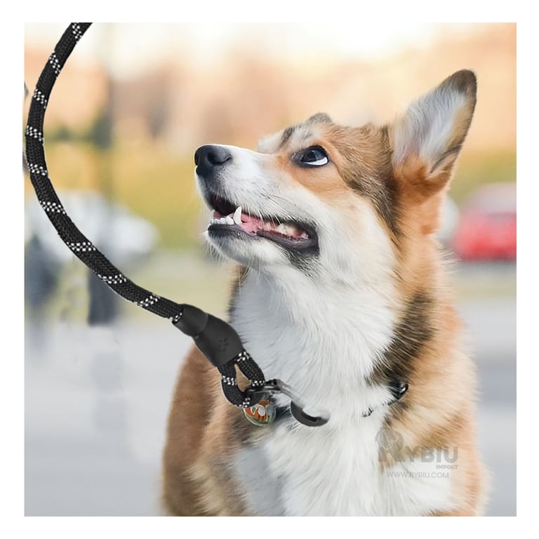 Soga Resistente para Perro Gruesa de 2m de Color Negro RYBIU IMPORT | falabella.com