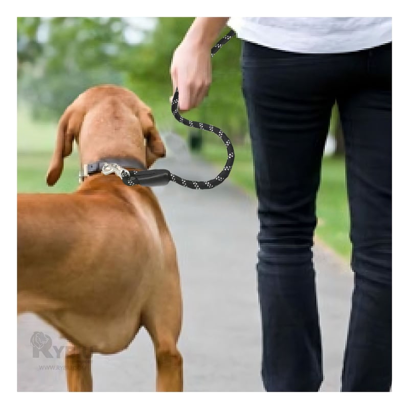 Soga Resistente para Perro de Delgada 2m Color Negro | Sodimac Perú