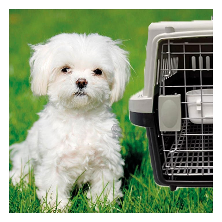 Transportadora Pet de Plastico Compacto L50 en Color Negro GENERICO ...