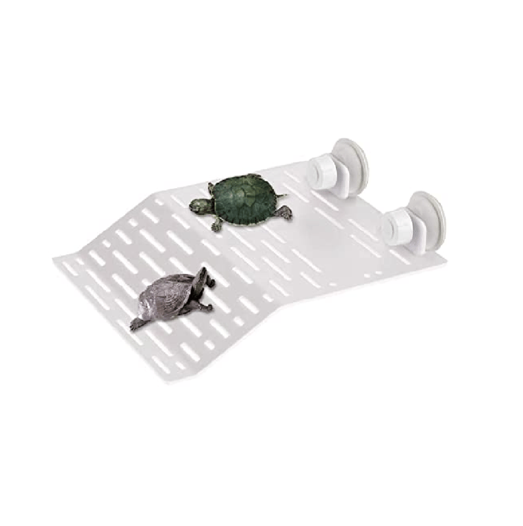 Plataforma con rampa para tortugas semi acuática | Sodimac Falabella