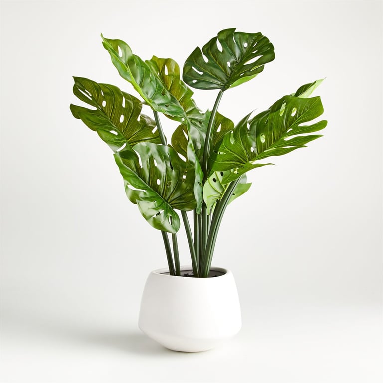 Planta Monstera Artificial con Maceta CRATE & BARREL | falabella.com