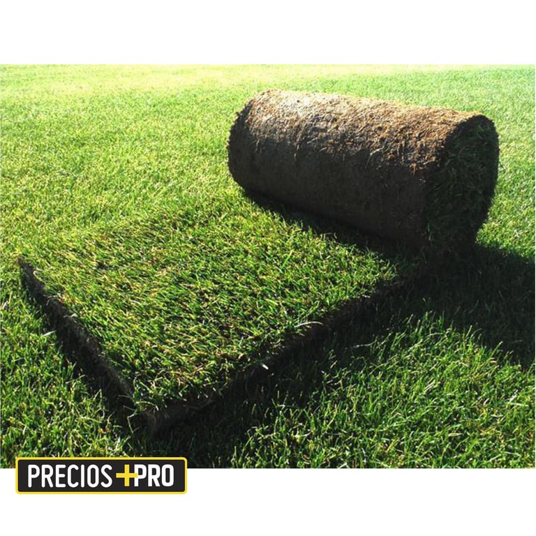 Palmeta pasto Premium 1 m2 aprox | Sodimac Chile