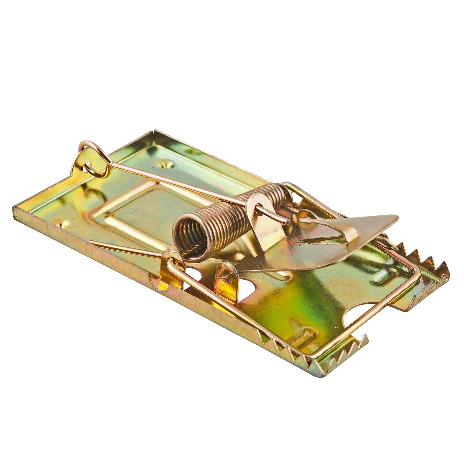 Trampa para lauchas | Sodimac - Falabella