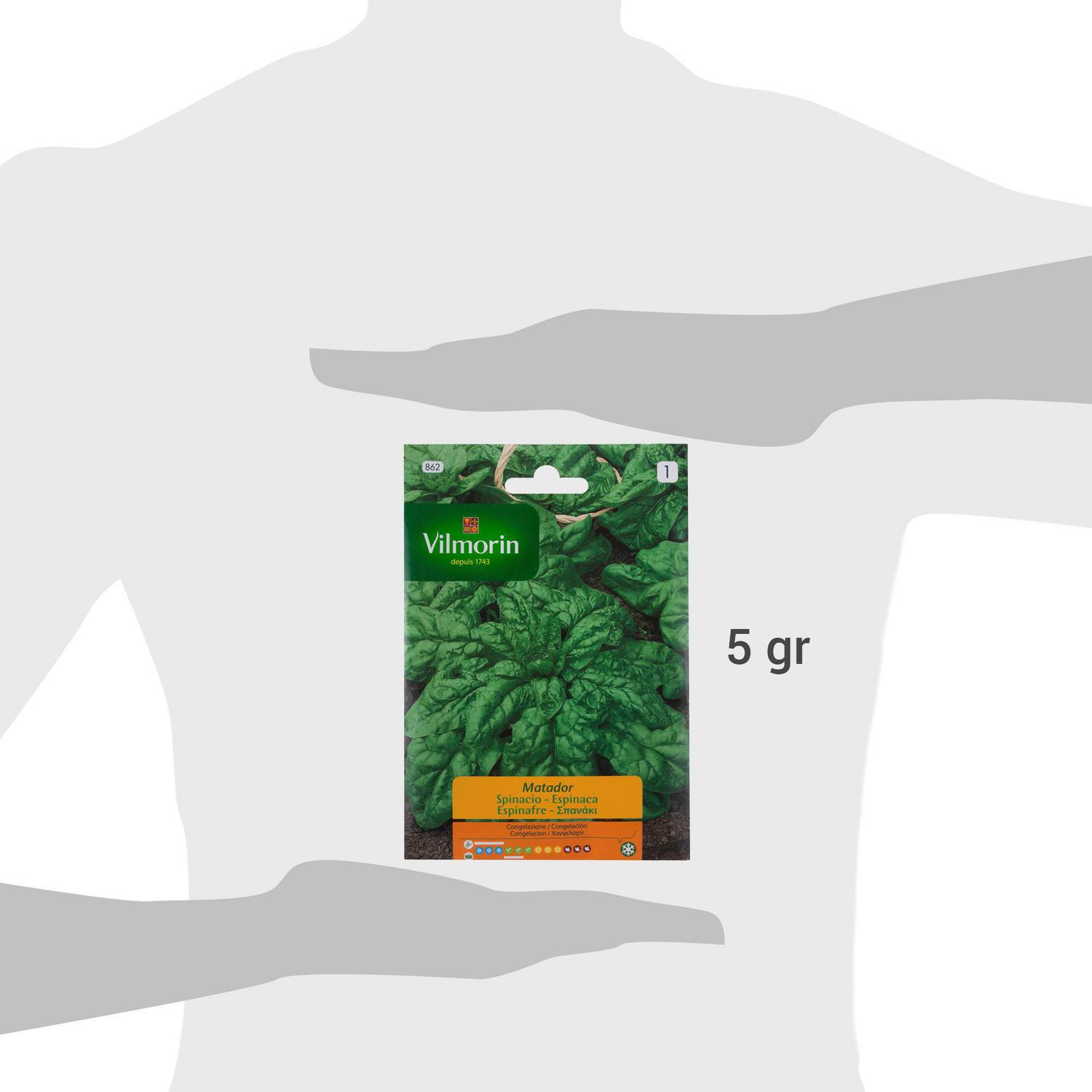 Semilla espinaca matador 15 gr sachet | Sodimac - Falabella