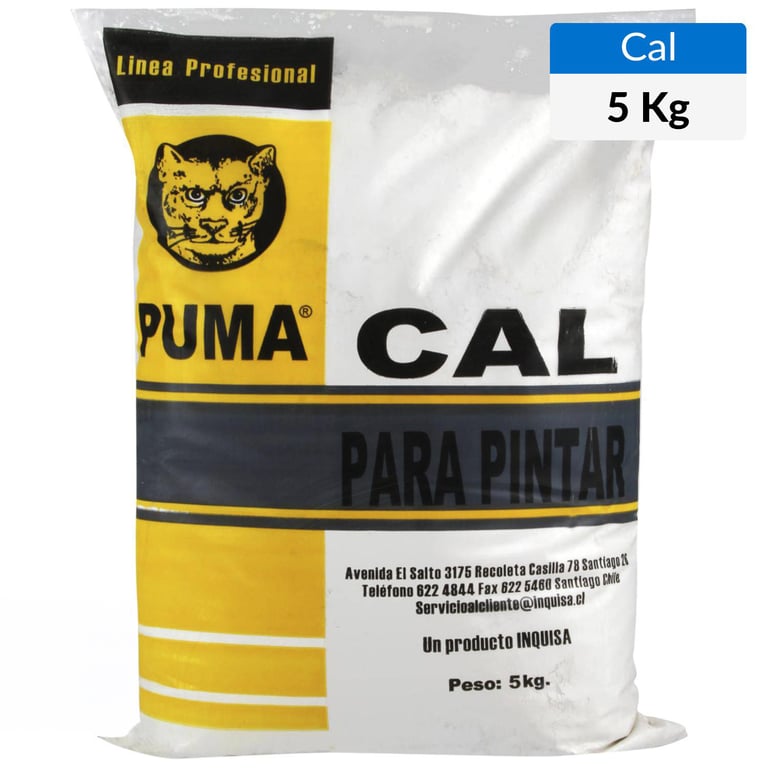 Cal Para Pintar 5 kg Bolsa | Sodimac - Falabella