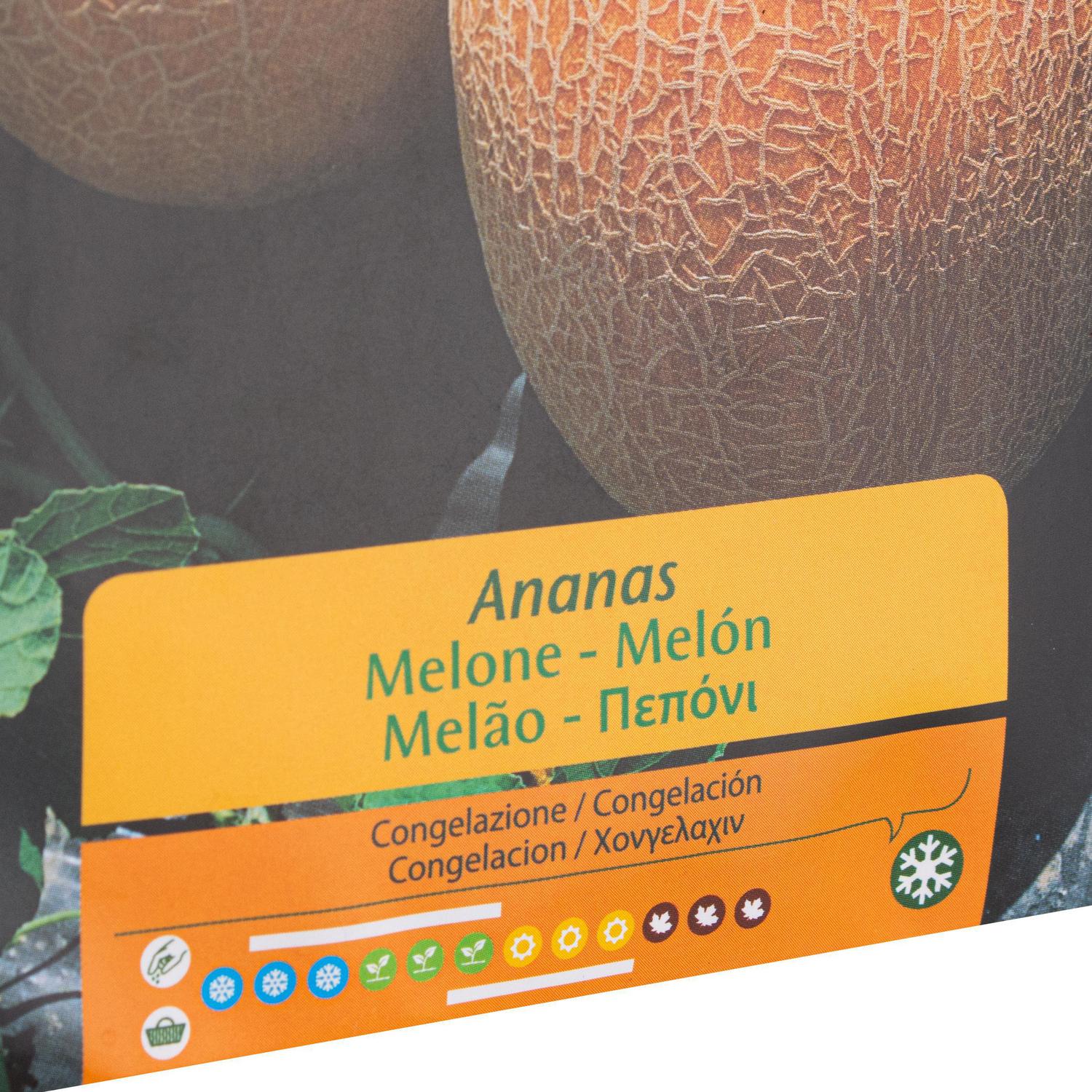 Semilla melón 3 gr sachet | Sodimac - Falabella