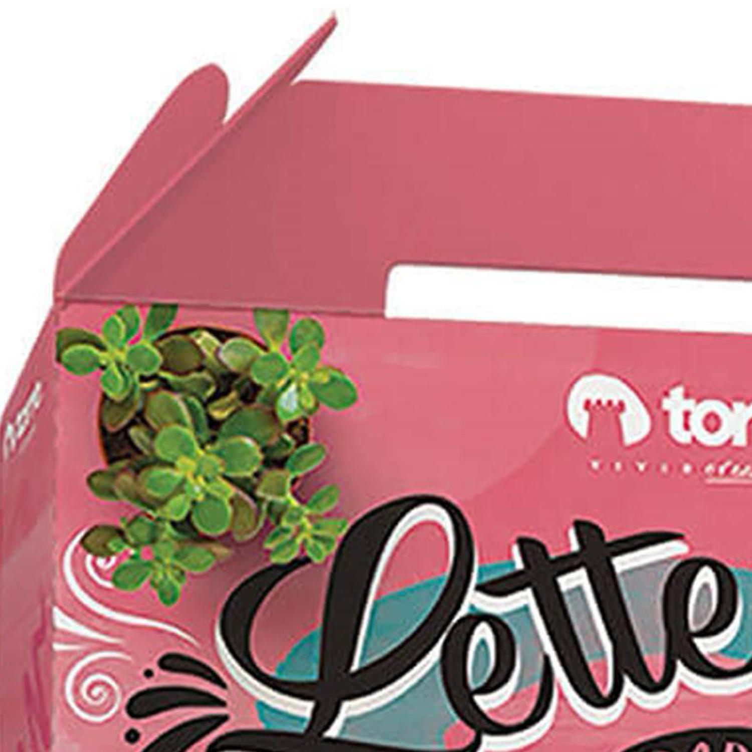 Box Lettering kit para escribir y colorear | Sodimac - Falabella