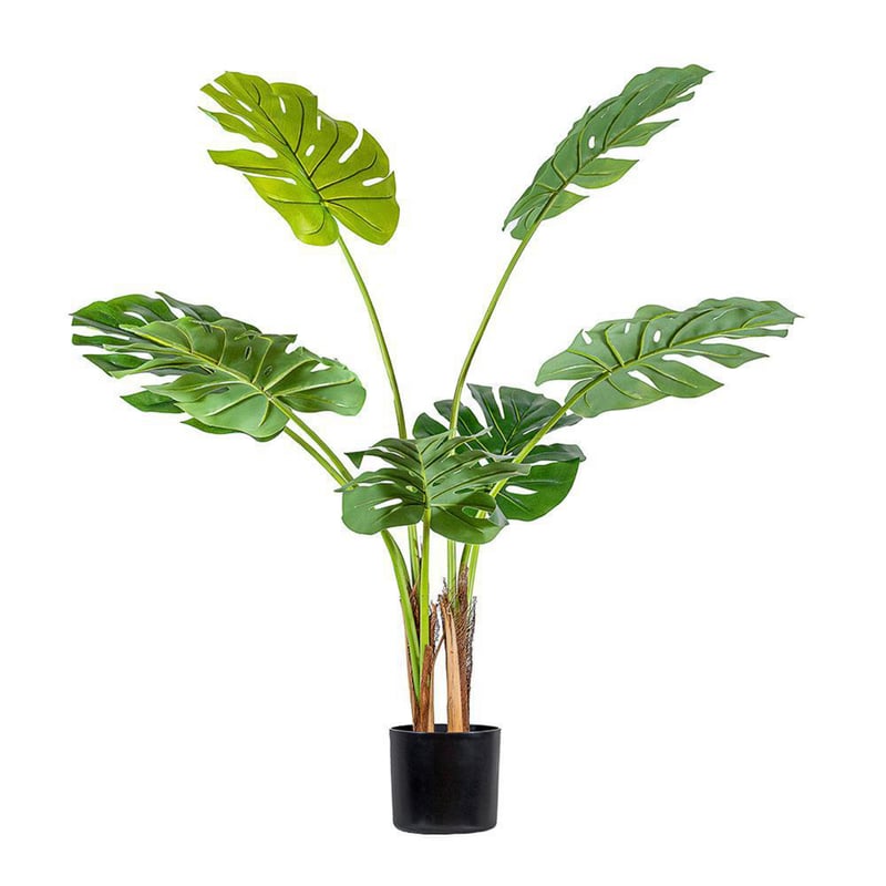 Monstera alta 7 hojas 120 cm | Sodimac - Falabella