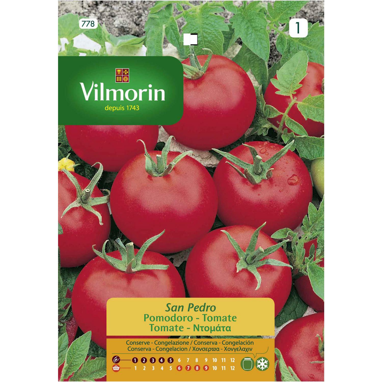 Semilla tomate san Pedro 1 gr sachet | Sodimac - Falabella