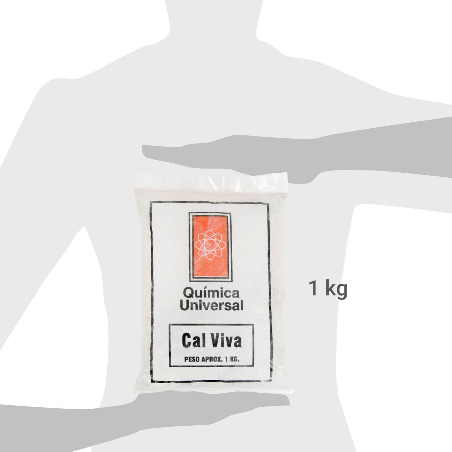 Cal Viva 1 kg Saco | Sodimac - Falabella