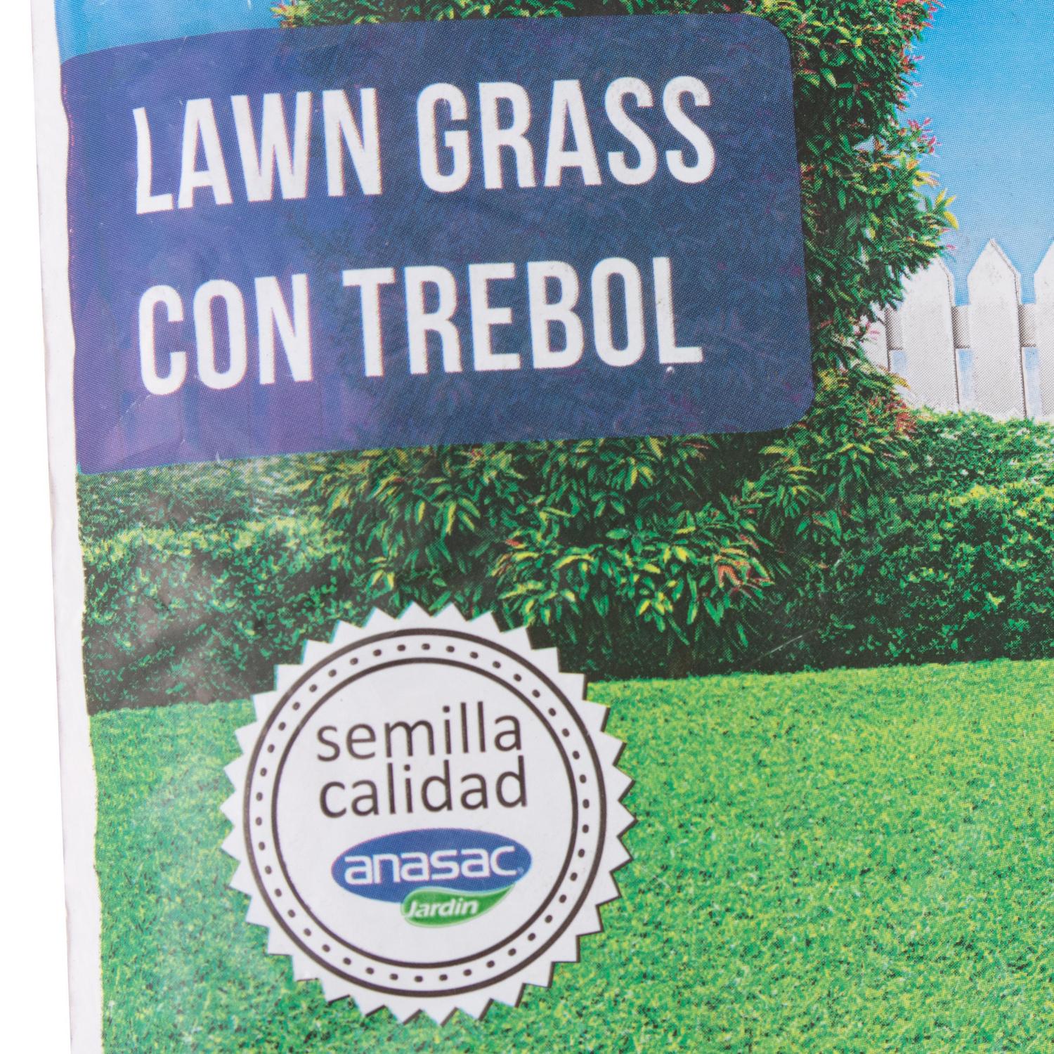 Semilla de Pasto Lawn Grass con Trébol 1 kg Bolsa | Sodimac - Falabella