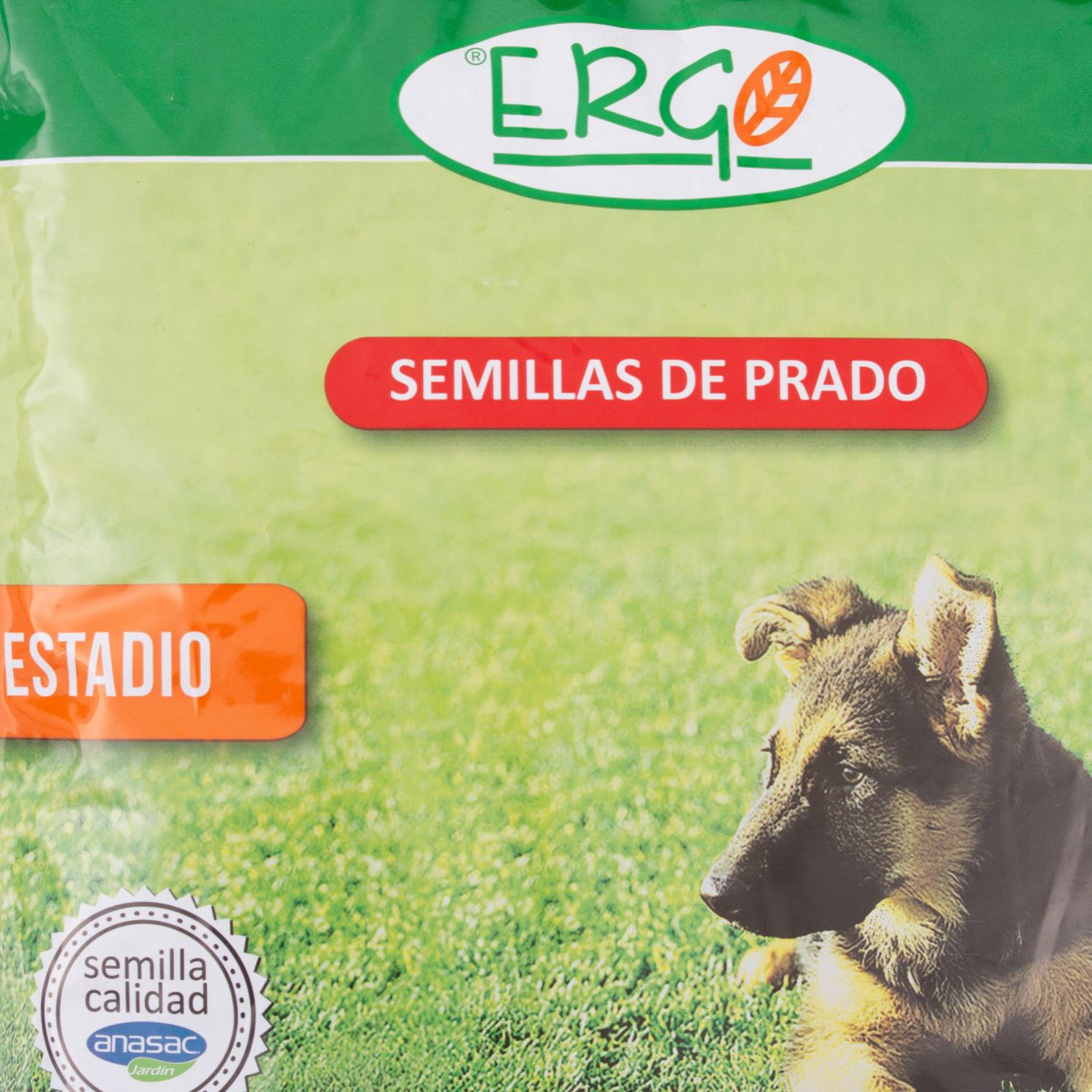 Semilla de Pasto Estadio 1 kg Bolsa | Sodimac - Falabella