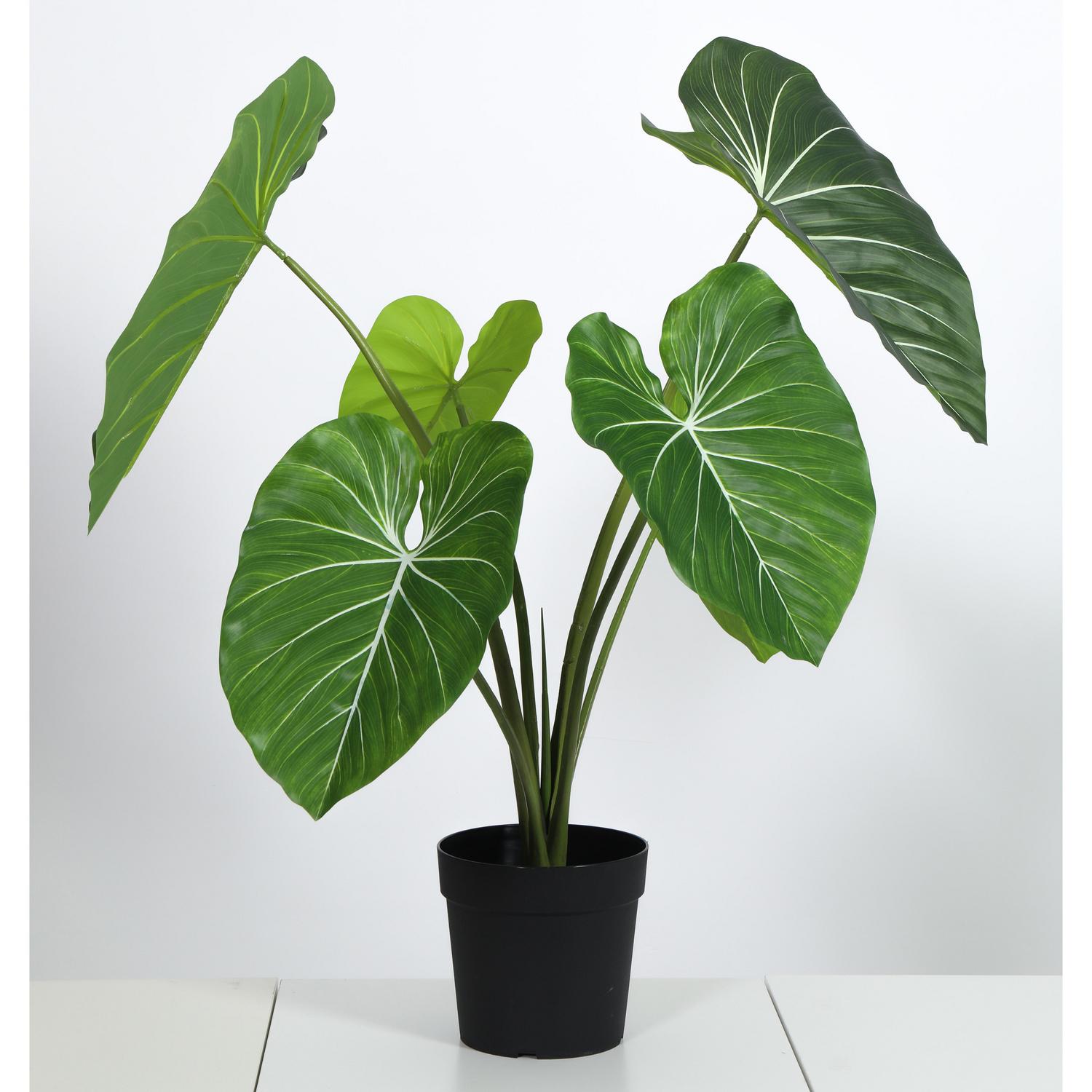 Planta artificial oreja de elefante 117 cm | Sodimac - Falabella