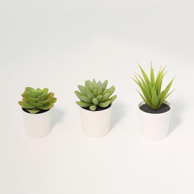 Set 3 suculentas artificiales 14 cm | Sodimac - Falabella