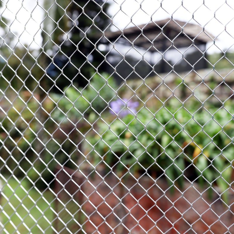 Malla zaranda arena 3x3 huecos/pulgada 0,90 cm espesor x 5 metros largo ...