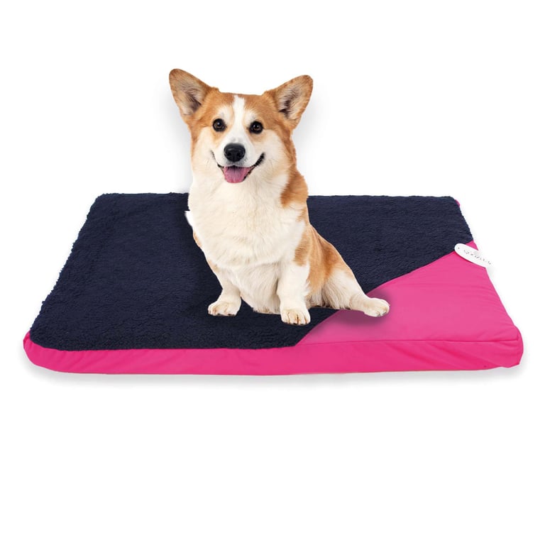 Colchón Para Perro Super Ortopédico 66x45x5cm Mediano Fucsia Petizoos ...