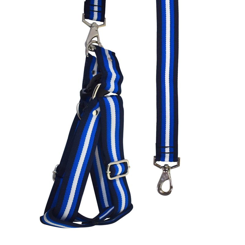 Pechera Paracaidas Grande Azul Animal Factor ANIMAL FACTOR | falabella.com