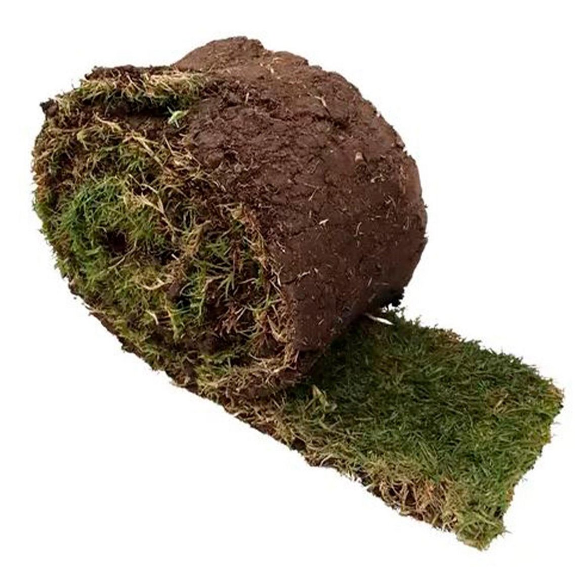 Pasto en Rollo - Sodimac.com.mx