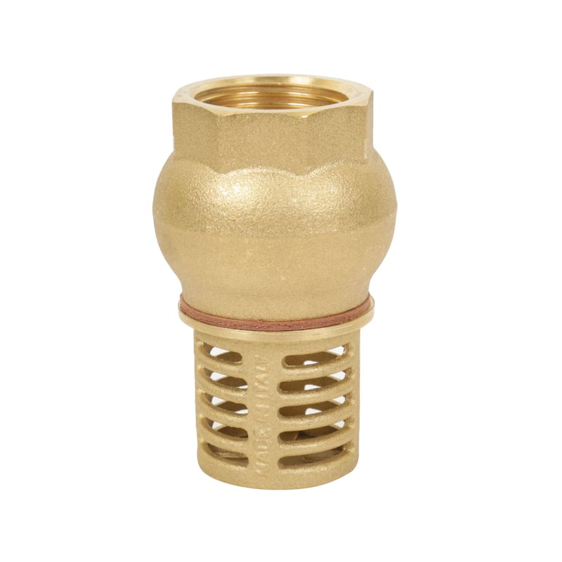 Válvula Check con Canastilla 1" | Sodimac Perú