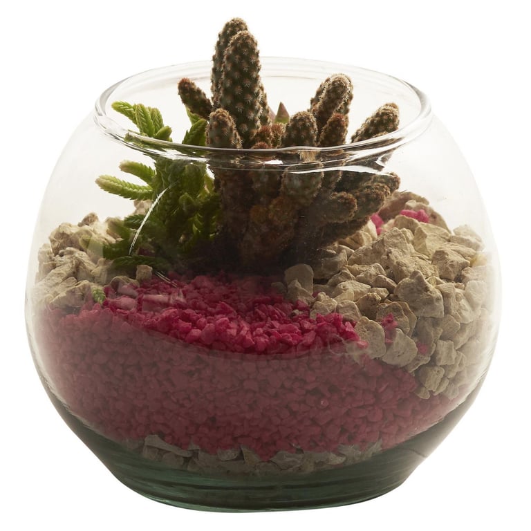 Mini Terrario | Sodimac Falabella