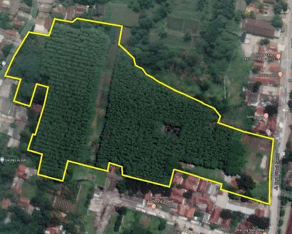 Sentul