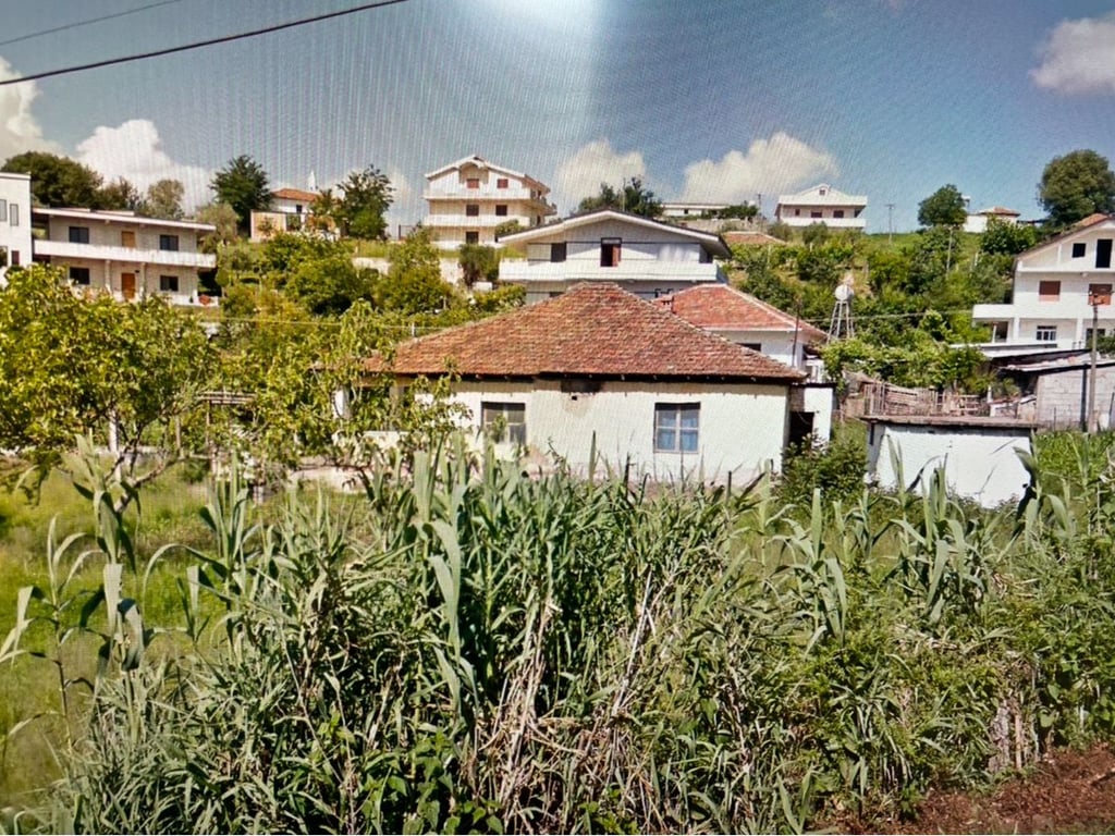 Shitet SHtepi Private (Domje) - Tirane, Domje - Dua Shpi