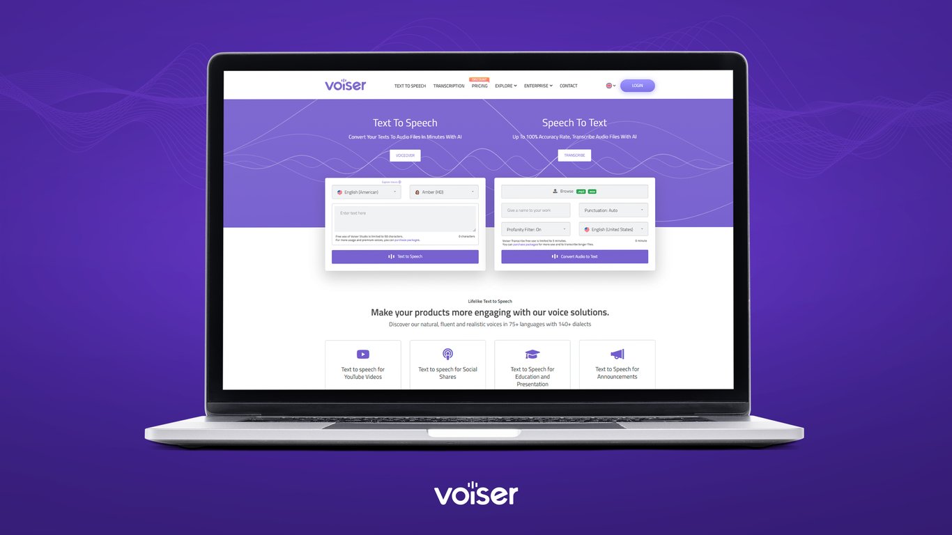 Recent Update and Overview of Voiser - for 2024