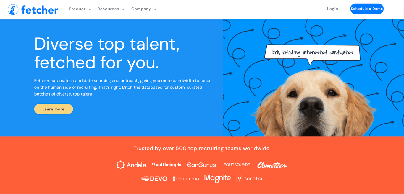 How to use Fetcher.ai , and other FAQs 2024