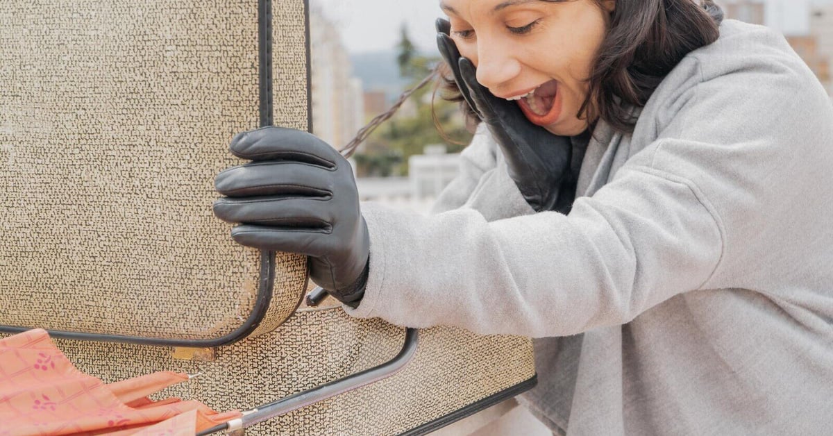 The Ultimate Guide to Finding a Reliable Cat Removal Service Near You ...