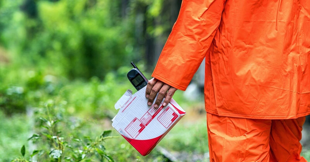 The Ultimate Guide to Effective Pest Control in Toms River, NJ - Breanto