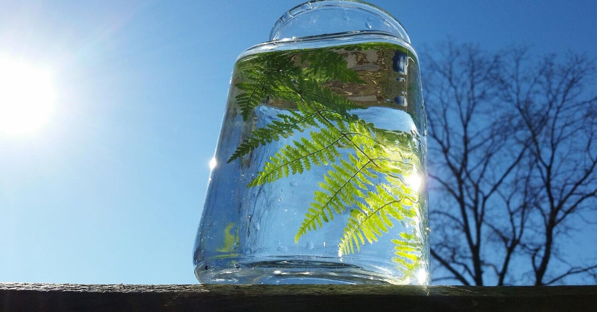 Investing in bottled water plants: A growing opportunity - Breanto