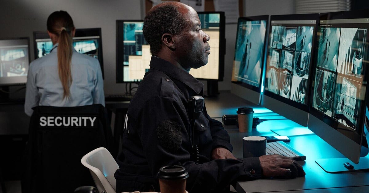 Modern security services: protecting people, places, and data ...