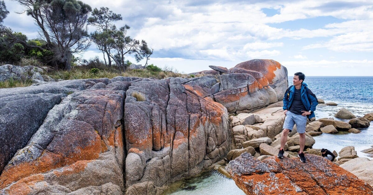 Collette Australia Tours: Explore the Outback & Beyond - Brightenio