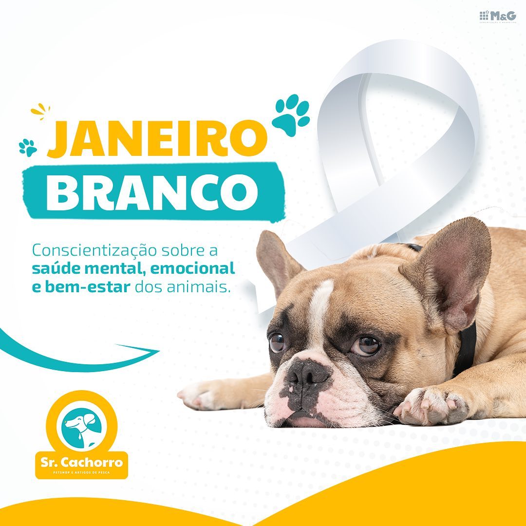 Janeiro Branco para os Pets - Muzambinho.com
