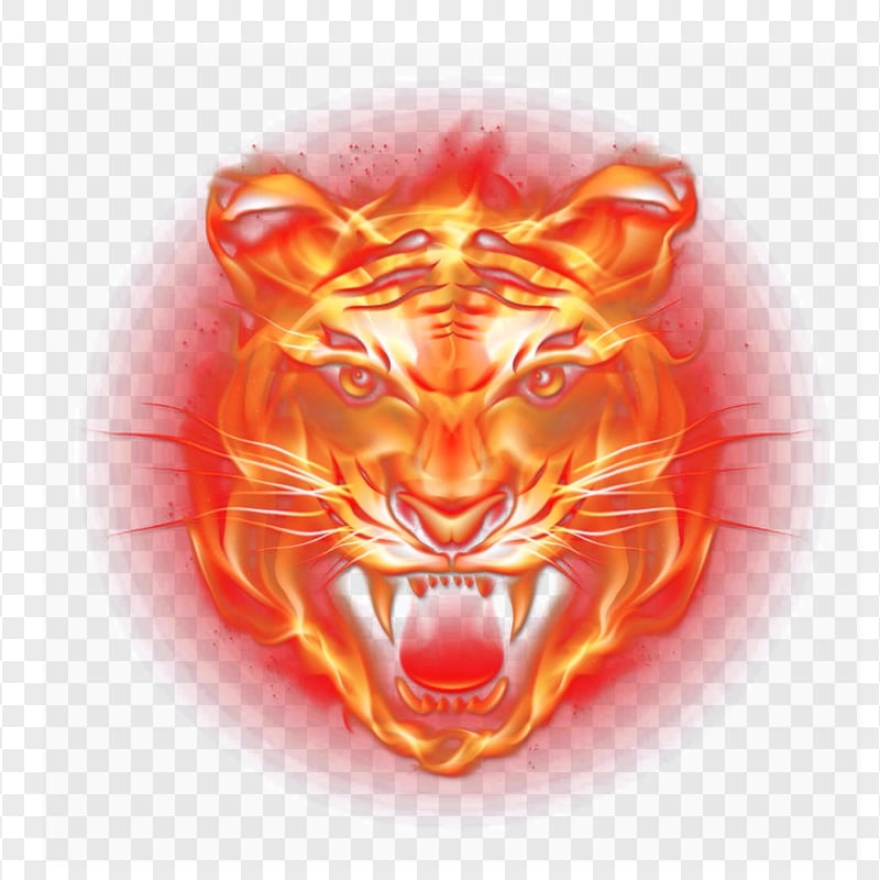 HD Tiger Fire Flame Face PNG | Citypng
