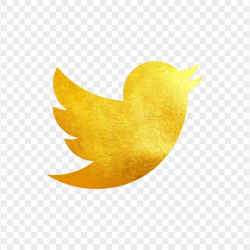 HD Gold Twitter Bird Logo Icon PNG | Citypng