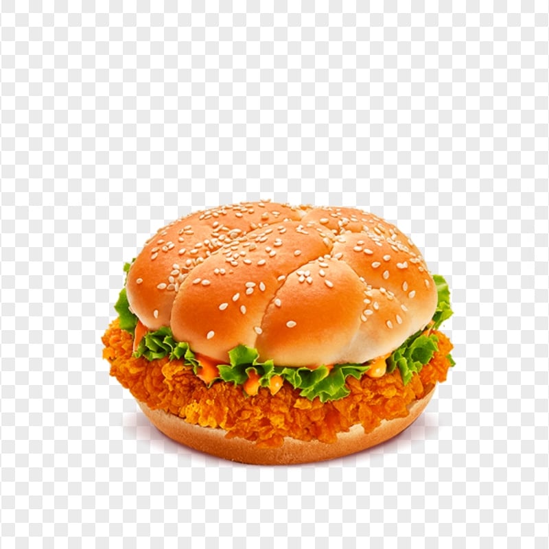 Fried Chicken Burger Fast Food Download PNG | Citypng