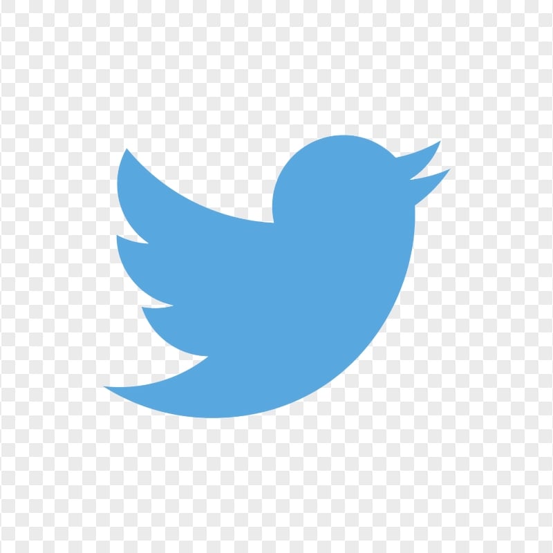HD Official Twitter Bird Logo Icon PNG | Citypng