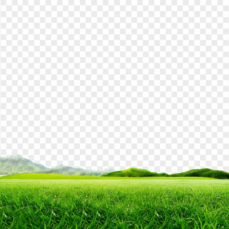 Beautiful Green Nature Grass Field Lawn HD PNG | Citypng