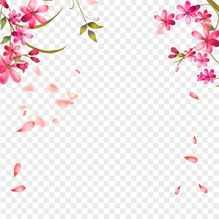Transparent HD Pink Floral Background | Citypng