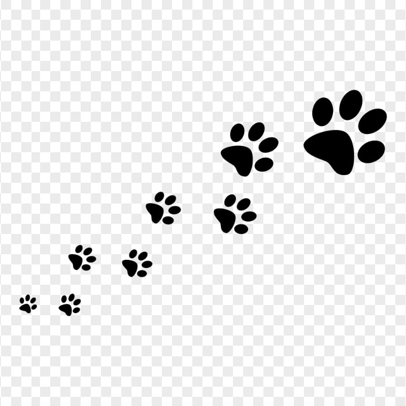 Black Pet Paw Path HD Transparent Background | Citypng