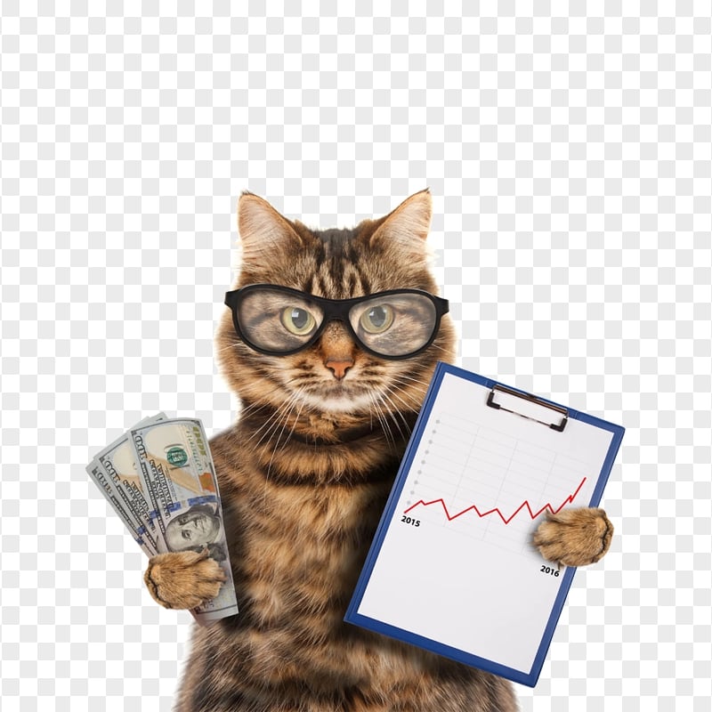 Funny cat Holding Cash and Financial chart HD PNG | Citypng
